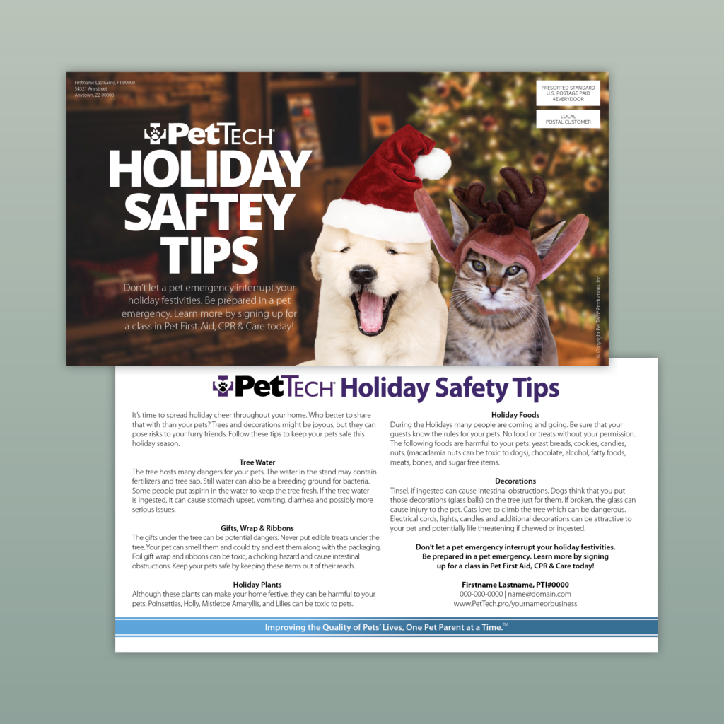 Holiday Safety Tips Postcards - Pet Tech Marketing
