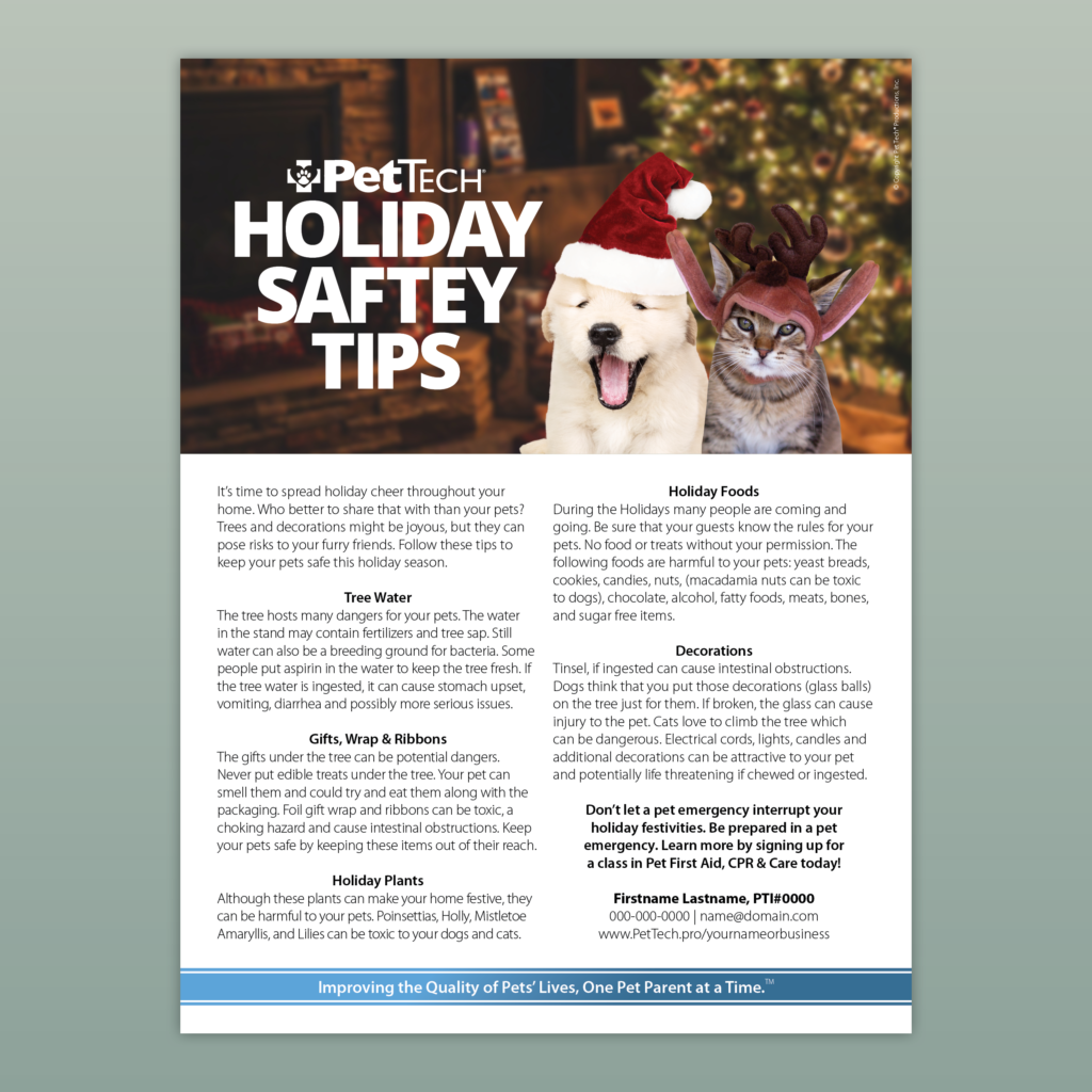 Holiday Safety Tips Flyers - Pet Tech Marketing