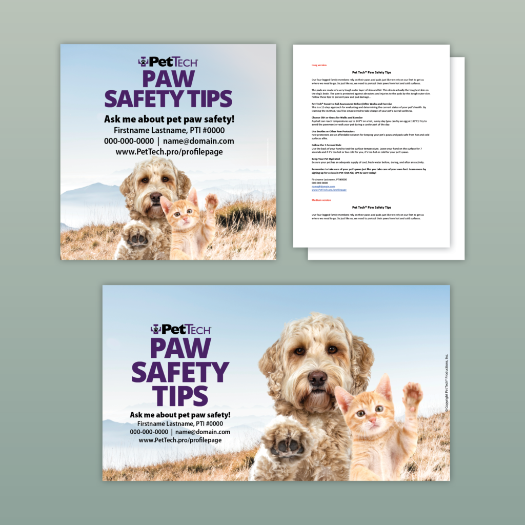 Paw Safety Tips eKit - Pet Tech Marketing